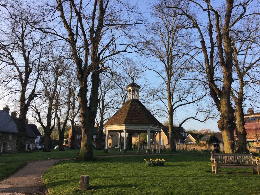 Home - Harrold Online