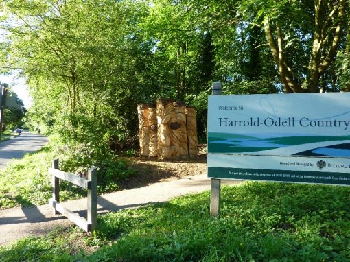 Home - Harrold Online